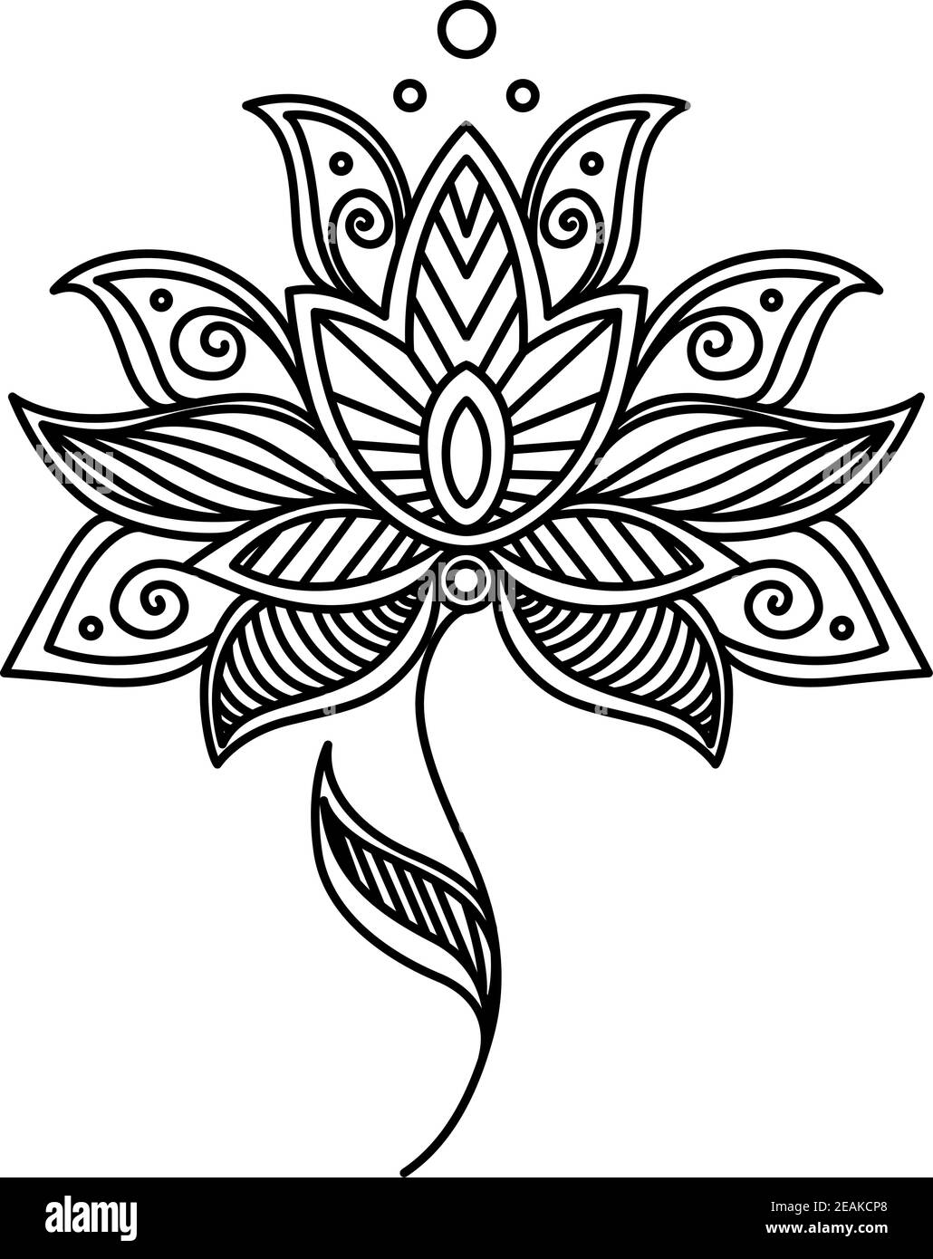 Paisley Flower Drawing