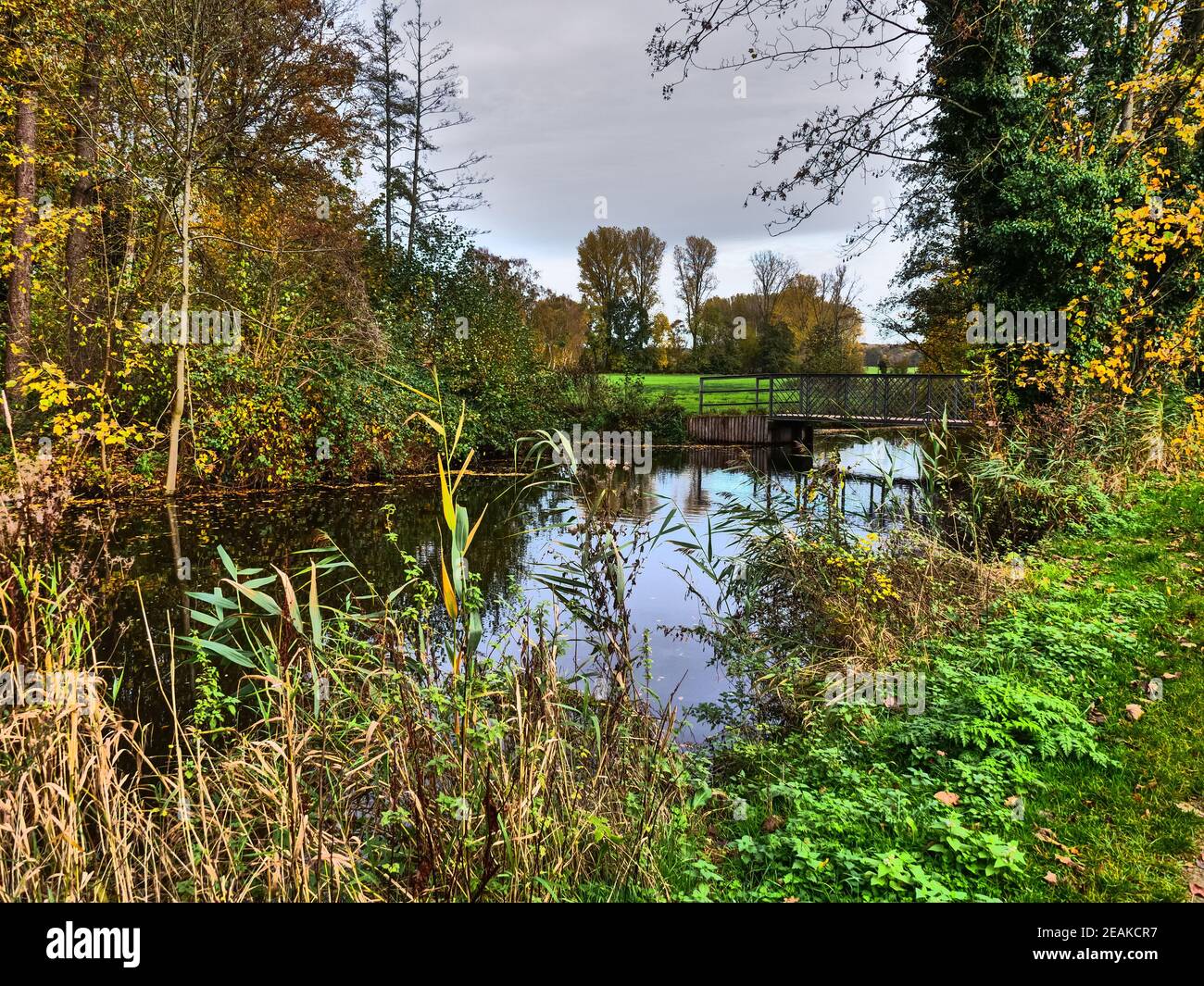 Autumn in the german muensterland Stock Photo - Alamy