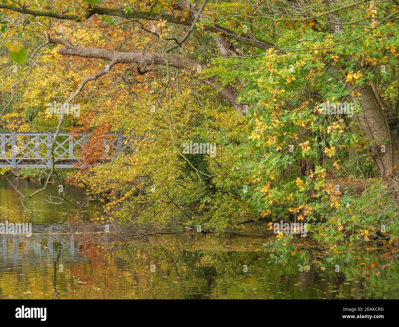 Autumn in the german muensterland Stock Photo - Alamy