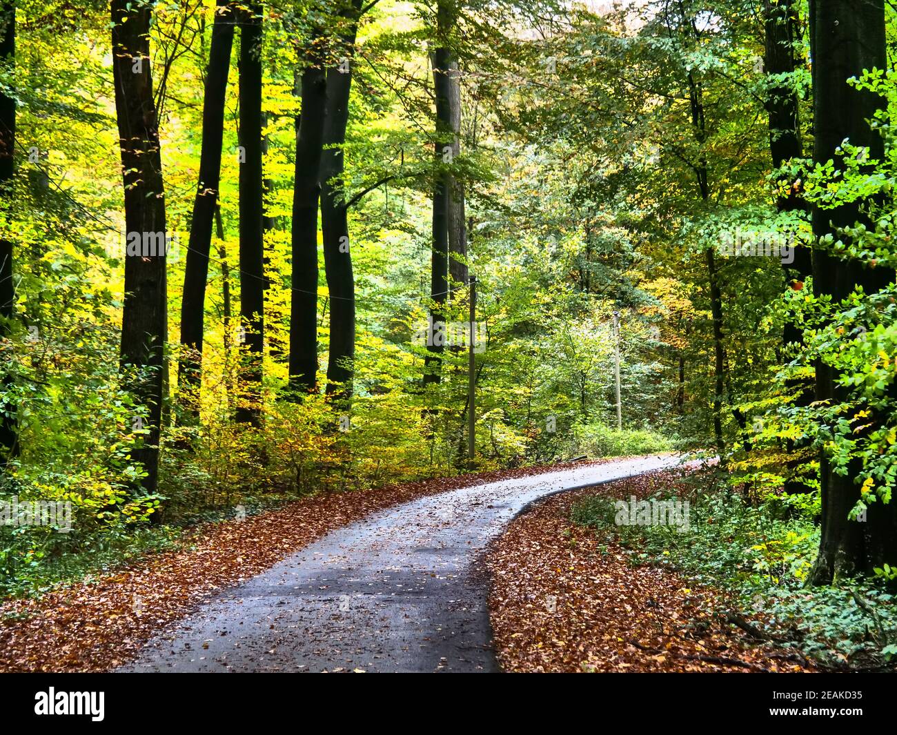 Hike into germany hi-res stock photography and images - Alamy
