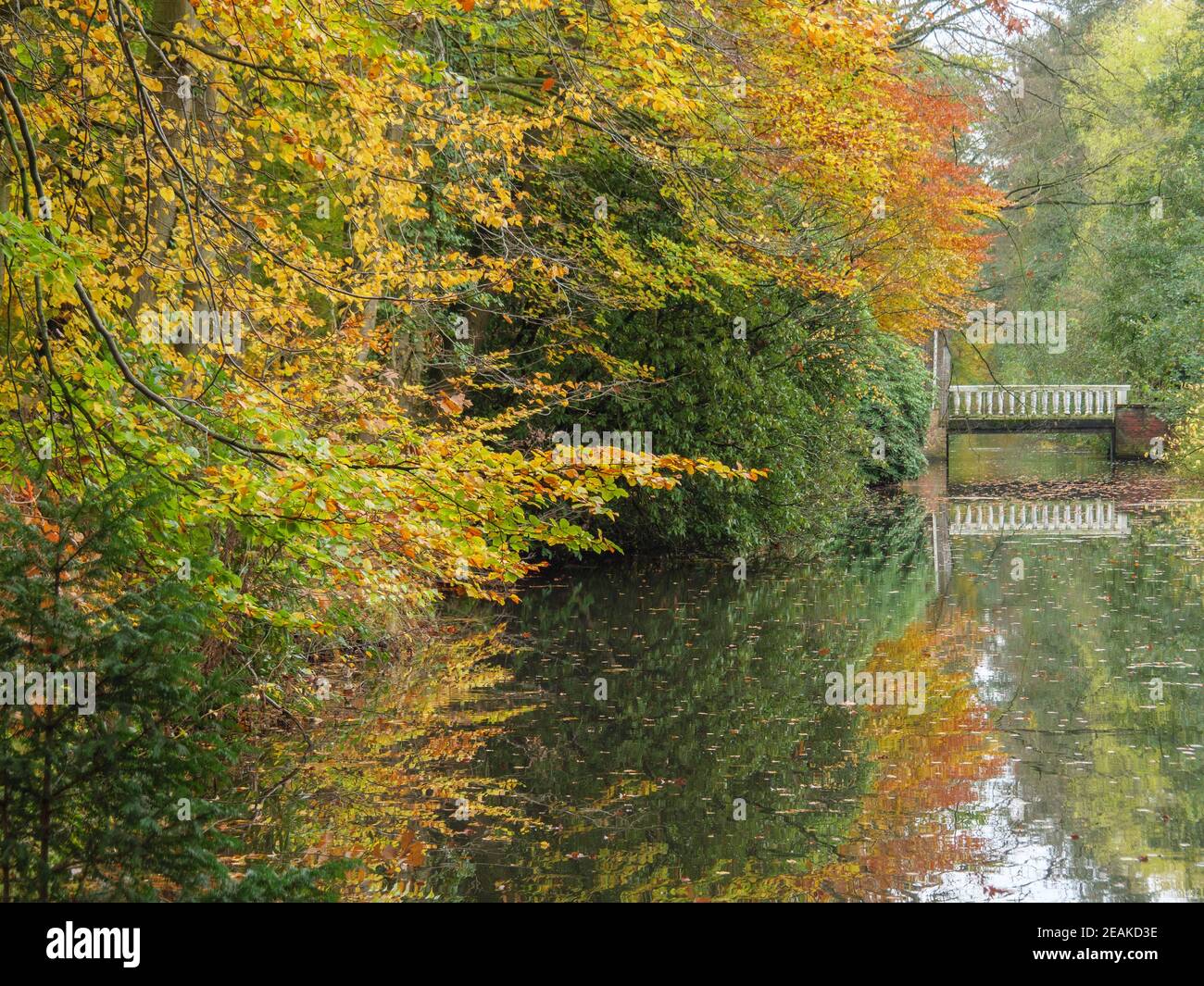 Autumn in the german muensterland Stock Photo - Alamy
