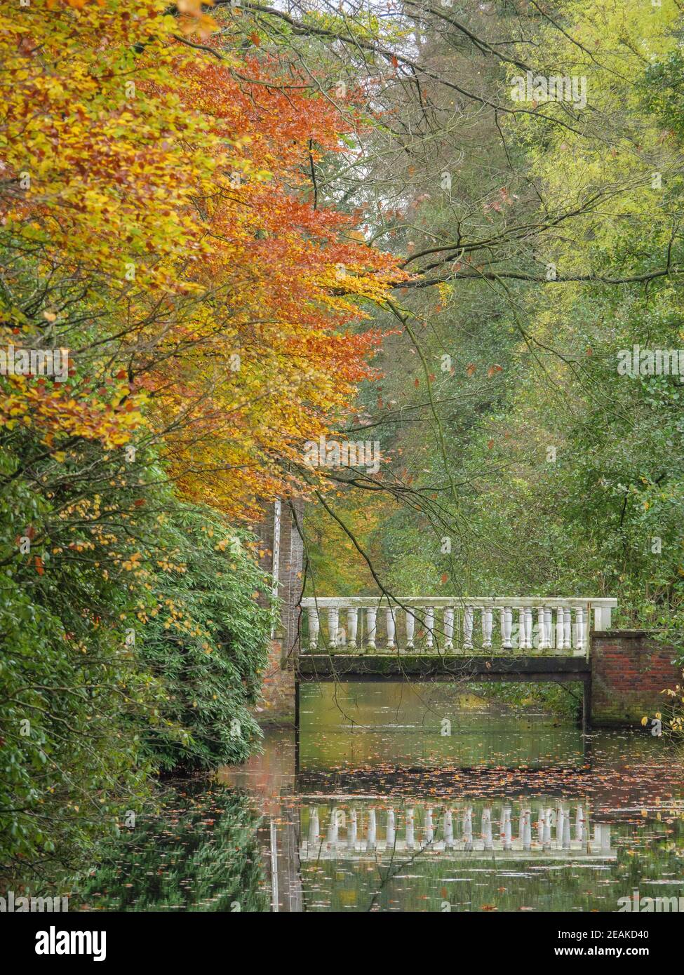 Autumn in the german muensterland Stock Photo - Alamy