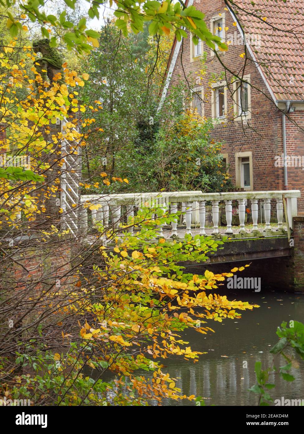 Autumn in the german muensterland Stock Photo - Alamy