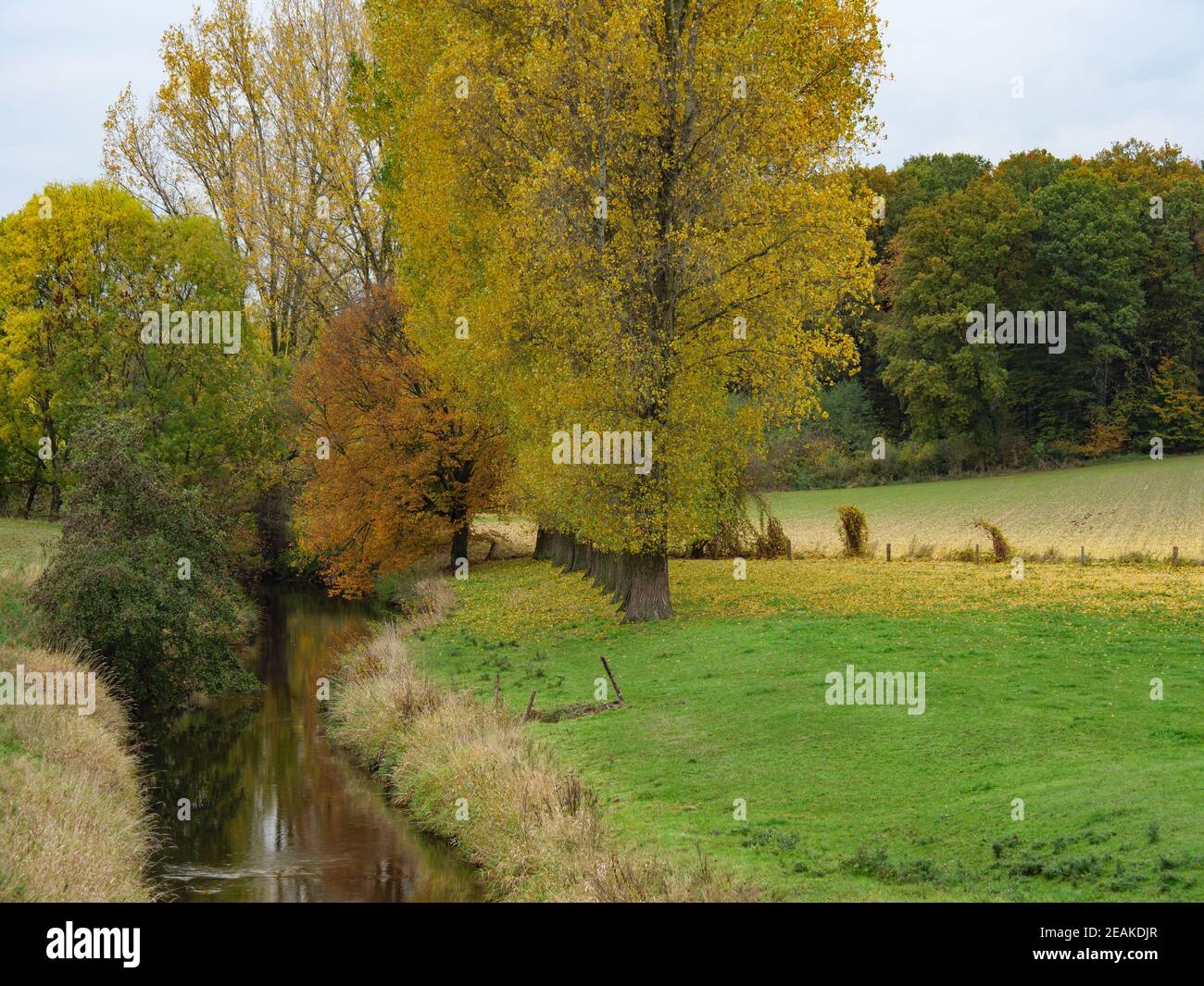 Autumn in the german muensterland Stock Photo - Alamy
