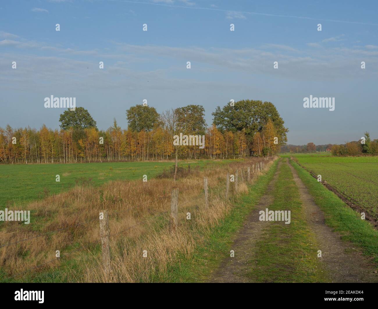 Autumn in the german muensterland Stock Photo - Alamy