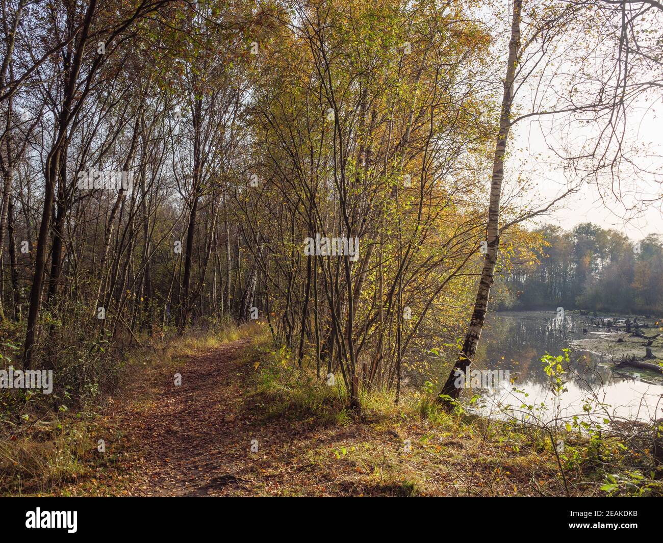Autumn in the german muensterland Stock Photo - Alamy