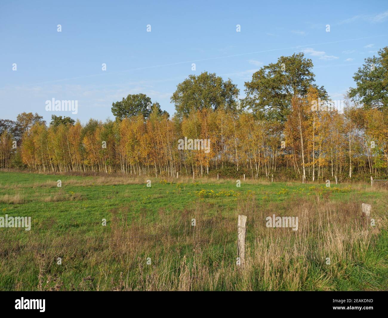 Autumn in the german muensterland Stock Photo - Alamy