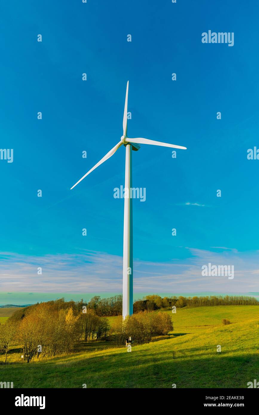 windmill - windmill farm Stock Photo - Alamy