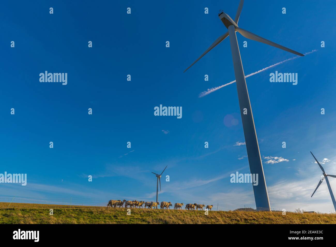 windmill - windmill farm Stock Photo - Alamy