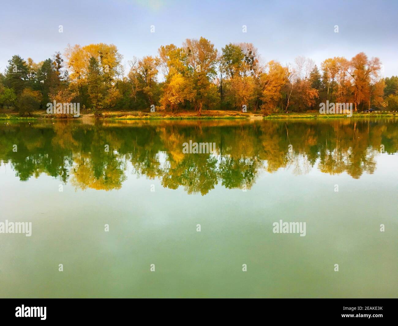 Landscape lake trees fall autumn Stock Photo - Alamy