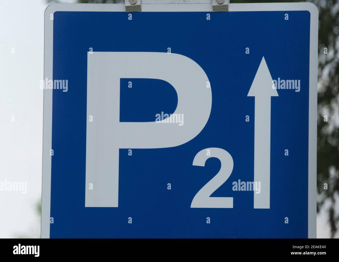 blue parking sign with white P letter Stock Photo - Alamy