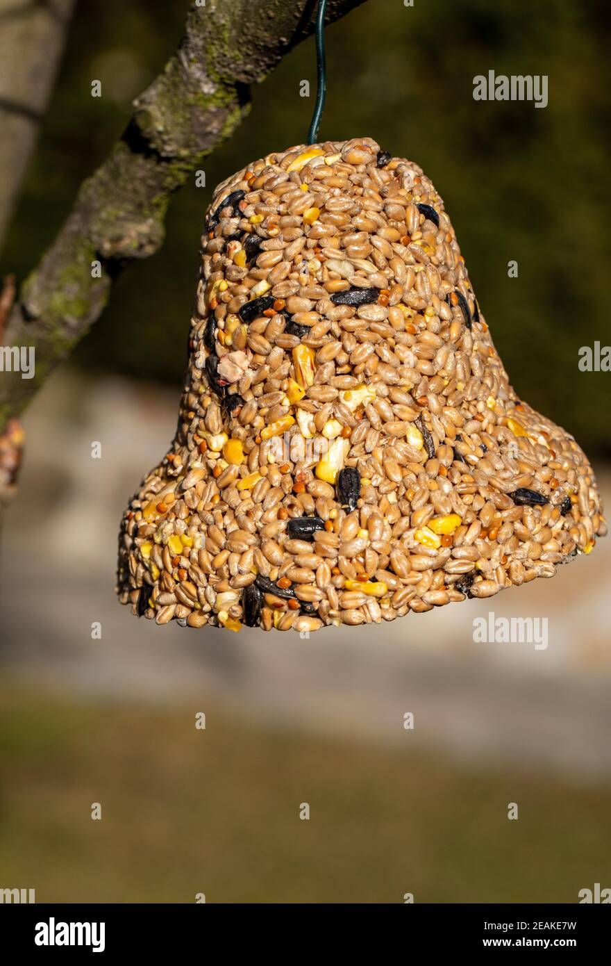 Bell from various grains, a delicacy for all the birds in the garden ...