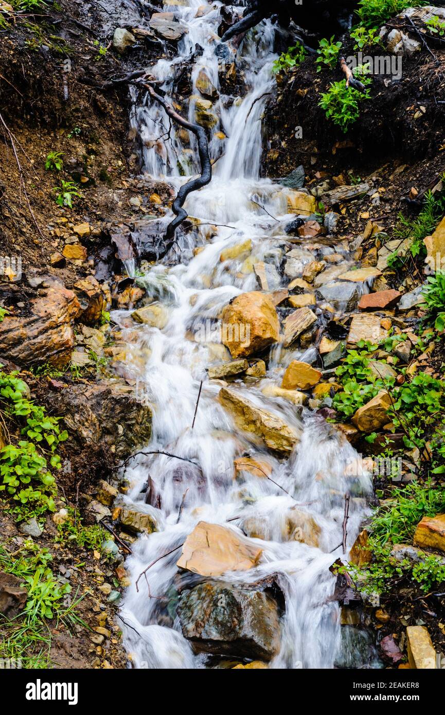 Stream cascading over ground, branches, and rocks Stock Photo - Alamy