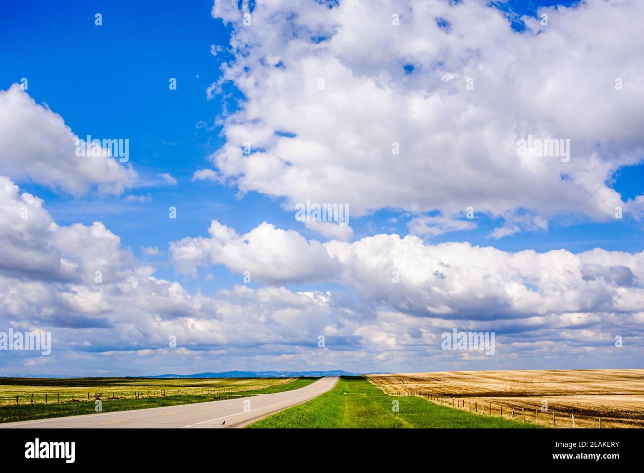 Beauty on the prairies hi-res stock photography and images - Alamy
