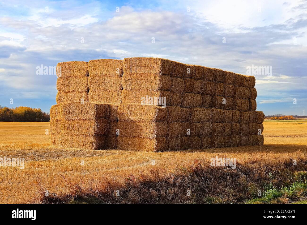 Square haystack in field rural High Resolution Stock Photography and ...