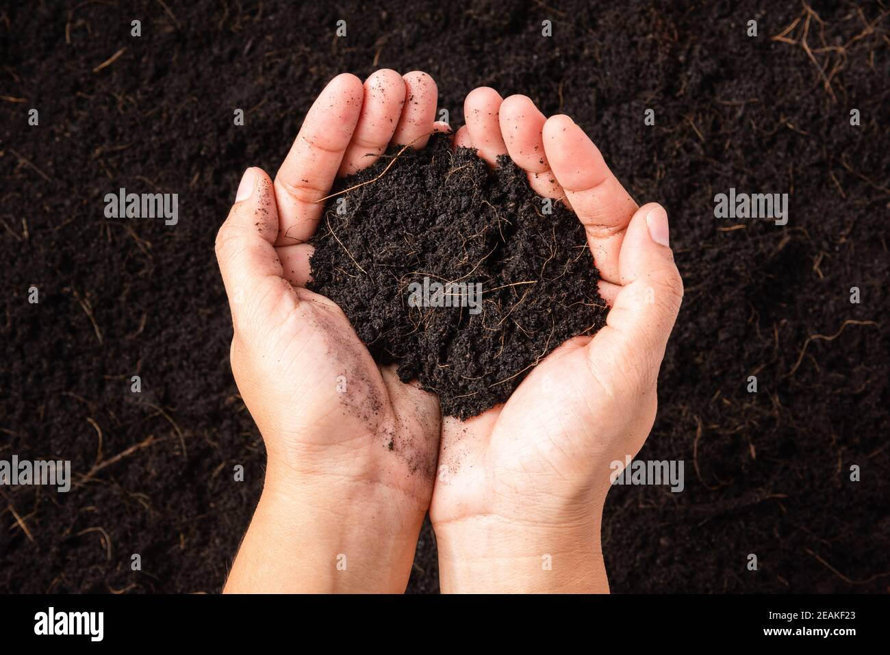 woman hand holding compost fertile black soil background Stock Photo ...