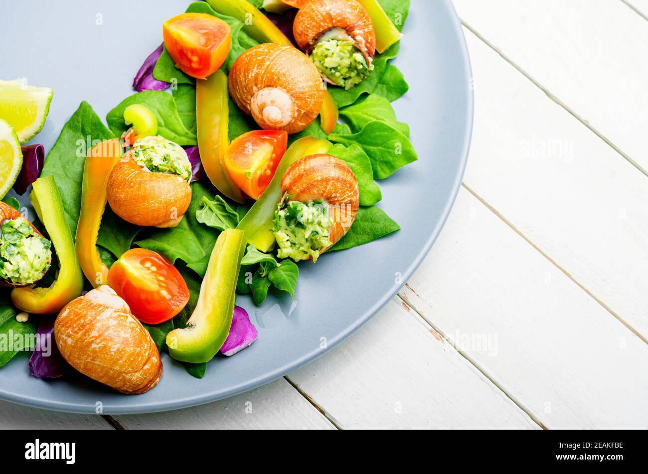 Snails with vegetables hi-res stock photography and images - Alamy
