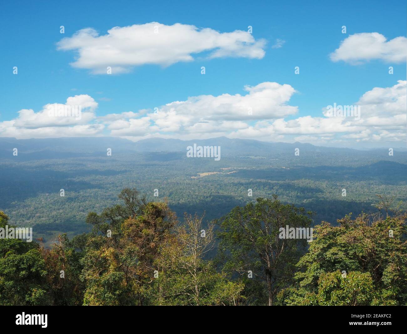 Beautiful white forest mountain hi-res stock photography and images - Alamy