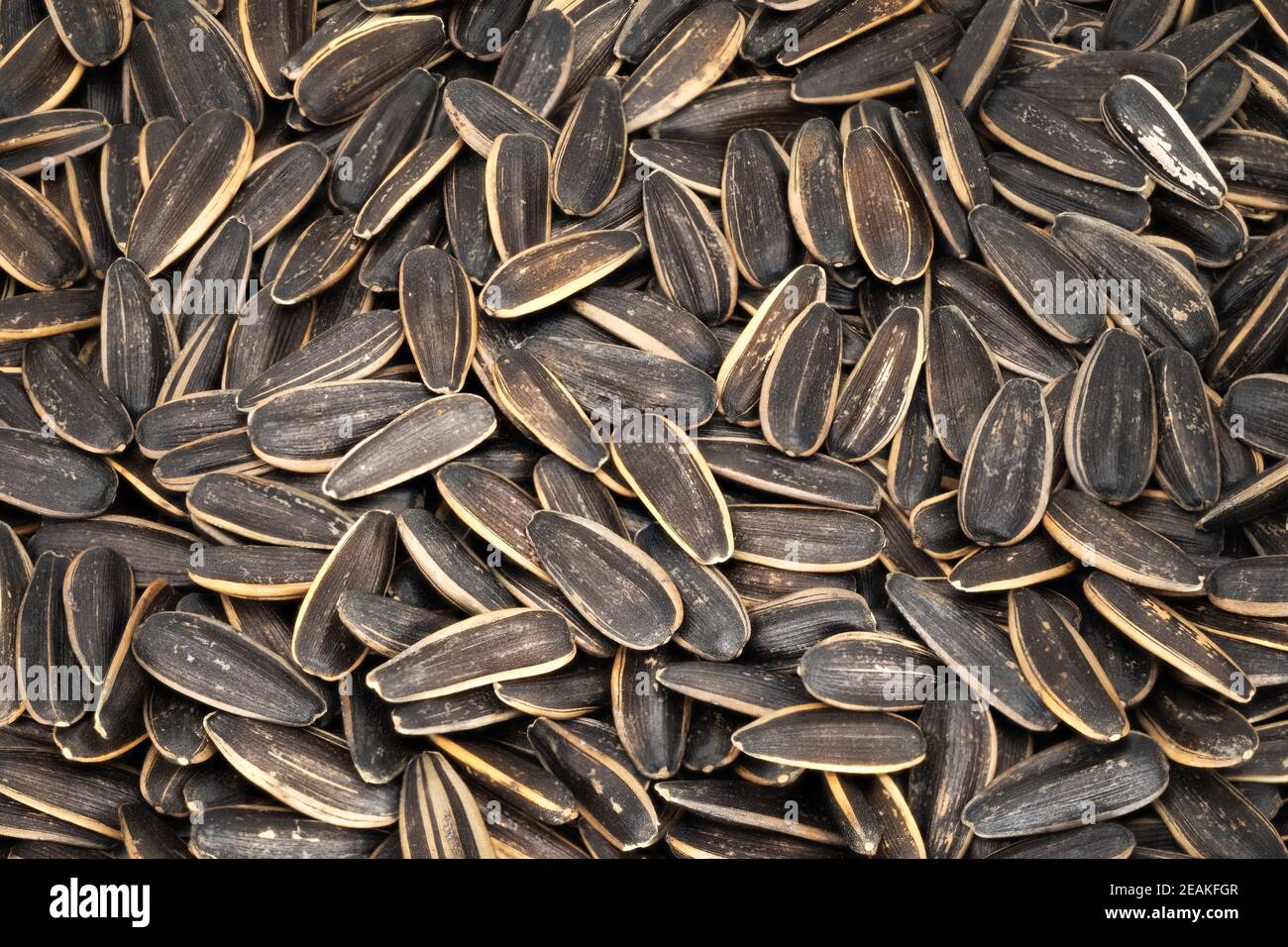 Sunflower seed hi-res stock photography and images - Alamy