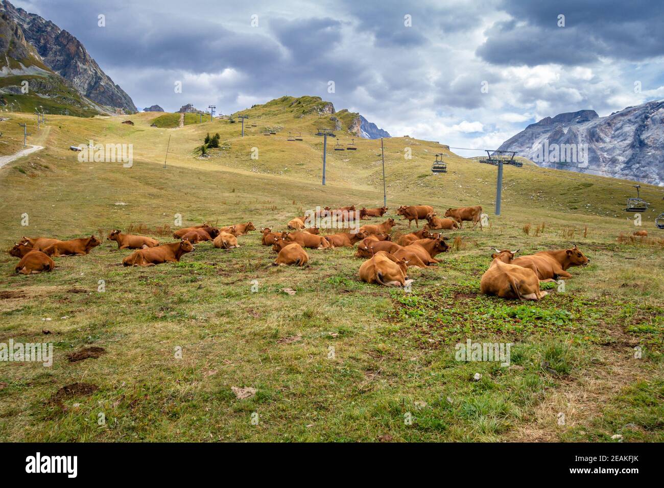 Alpine pasture lift hi-res stock photography and images - Alamy