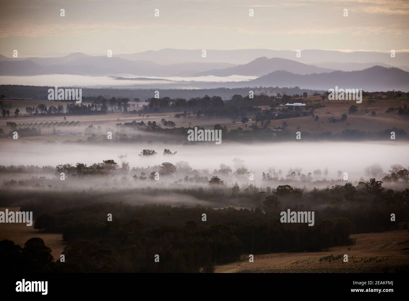Hunter Valley Fog at Sunrise in Australia Stock Photo - Alamy