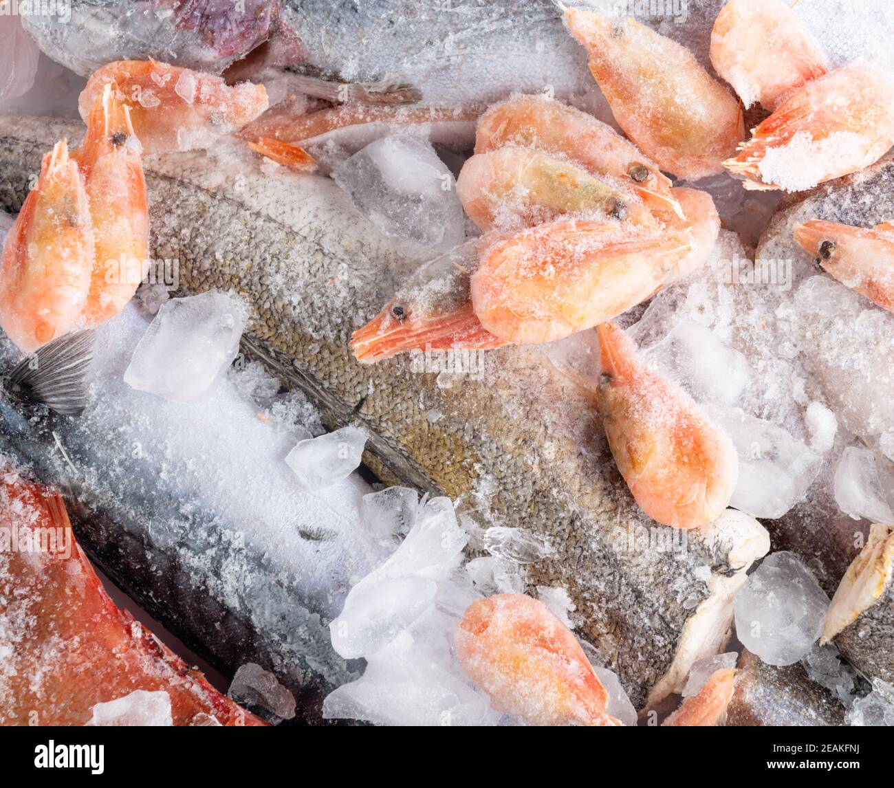 variety of frozen sea sustainable food, fish, shrimps, mackerel, hake ...