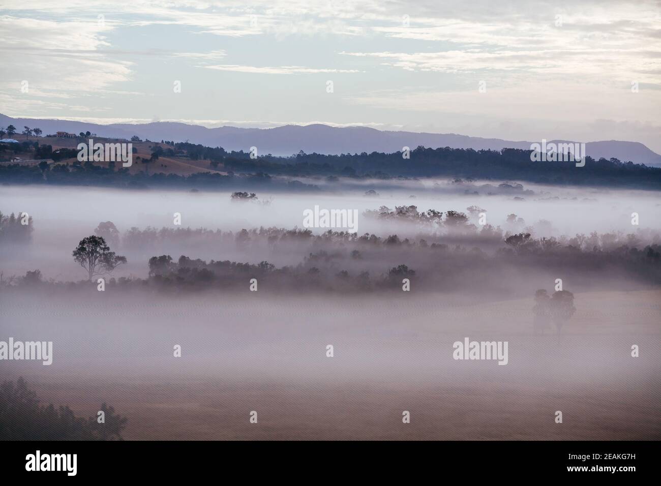Hunter Valley Fog at Sunrise in Australia Stock Photo - Alamy