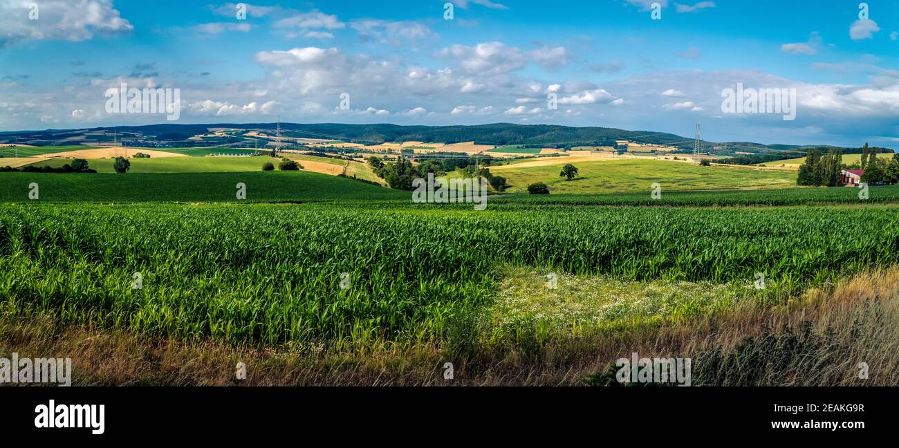Panorama with cornfields Stock Photo - Alamy