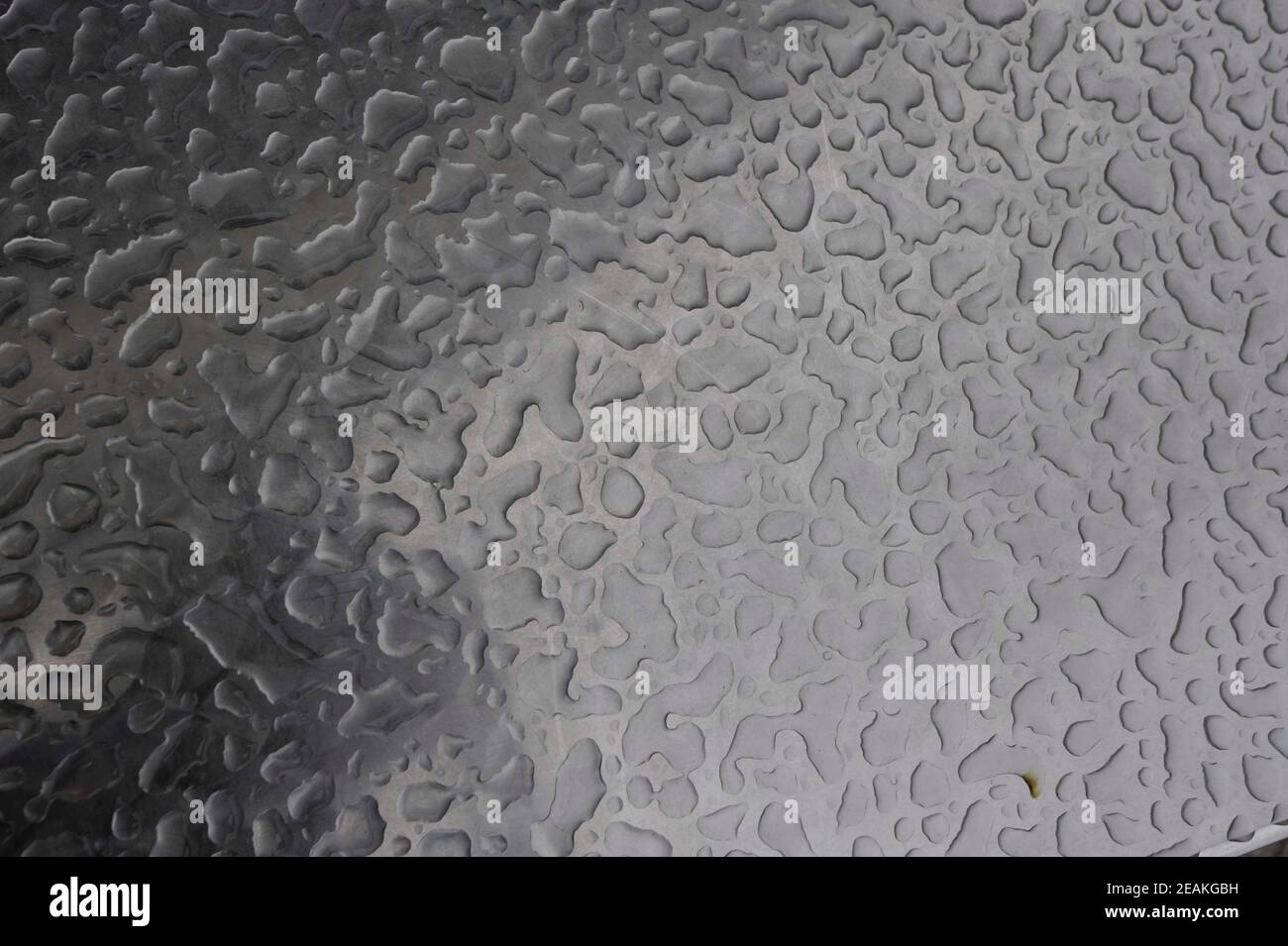 Gray grey color hi-res stock photography and images - Alamy