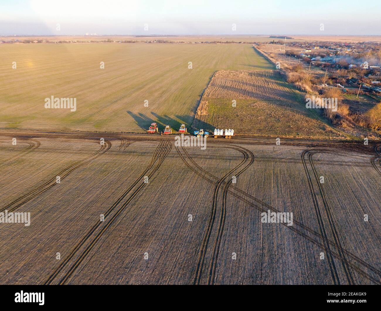 Export of fertilizer to the fields. Spring fertilizing plants Stock ...