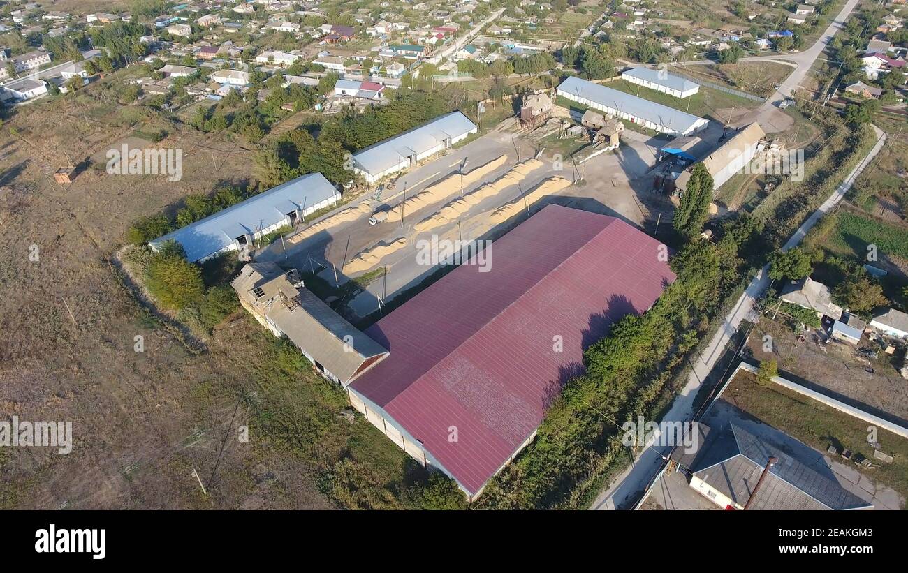 Hangar for storage of grain. A platform for drying and sintering grain ...