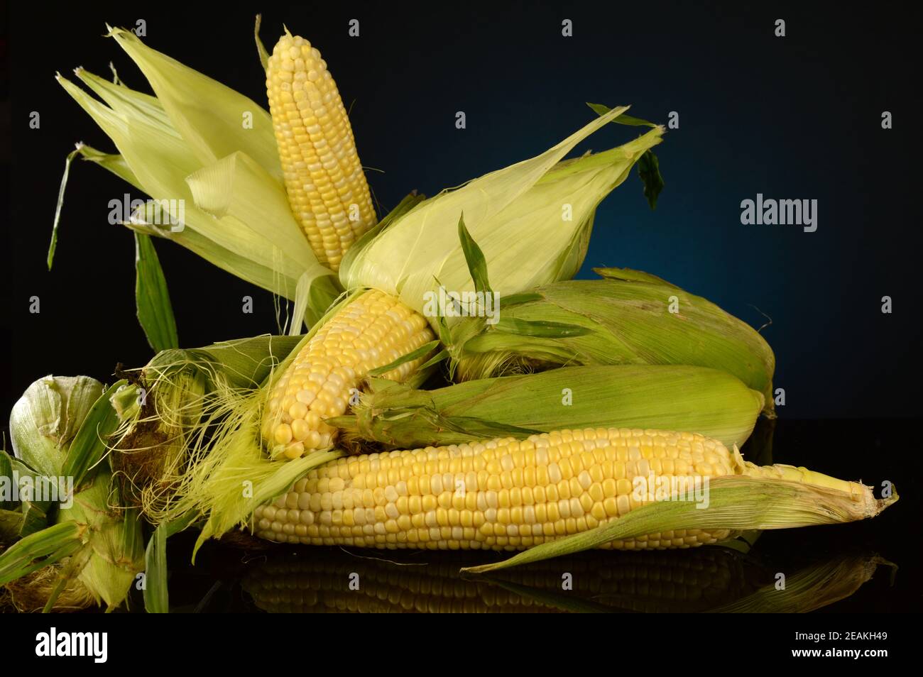 Pile Of Cobb Corn Stock Photo - Alamy