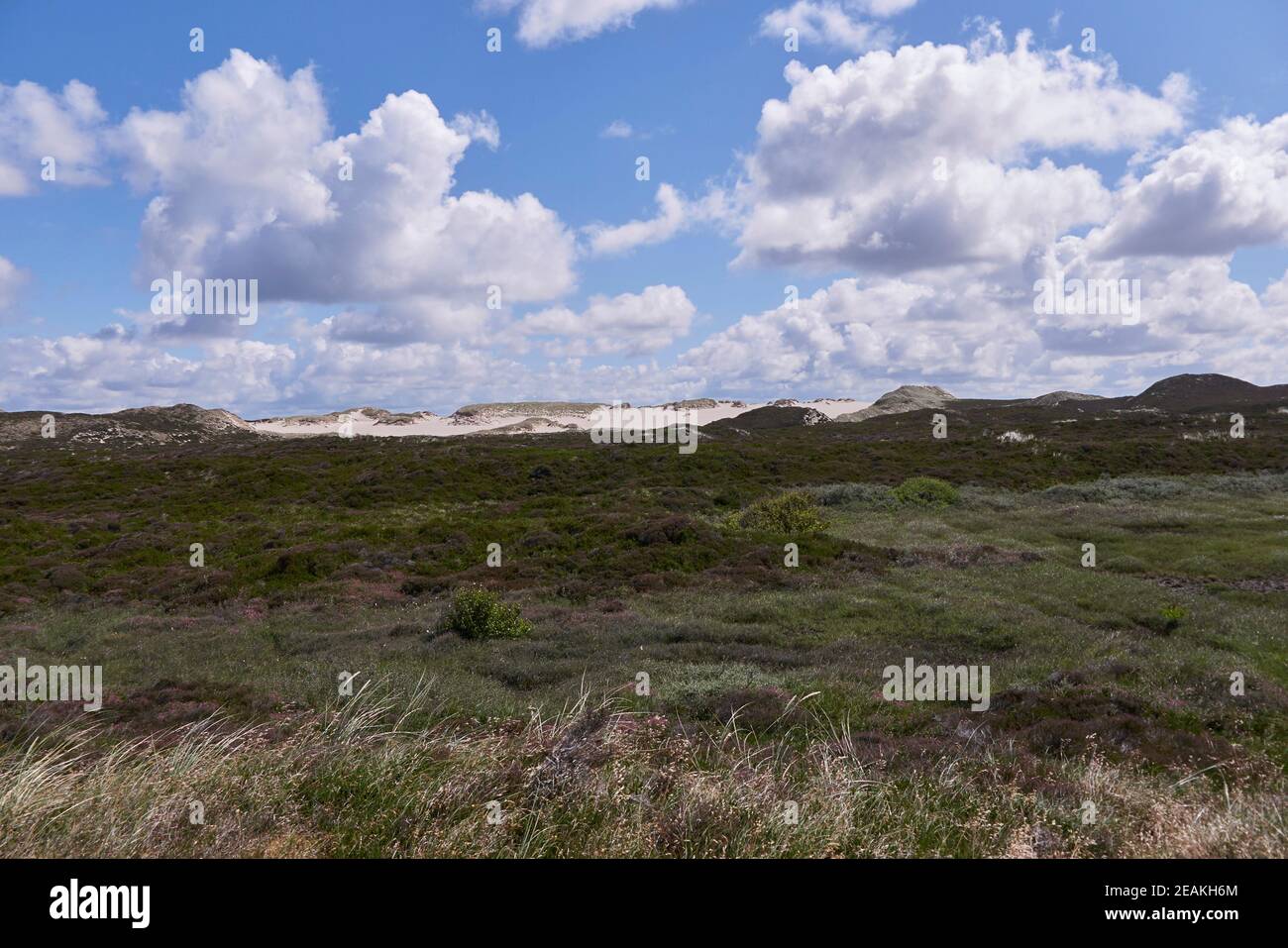 Sylt island hi-res stock photography and images - Alamy