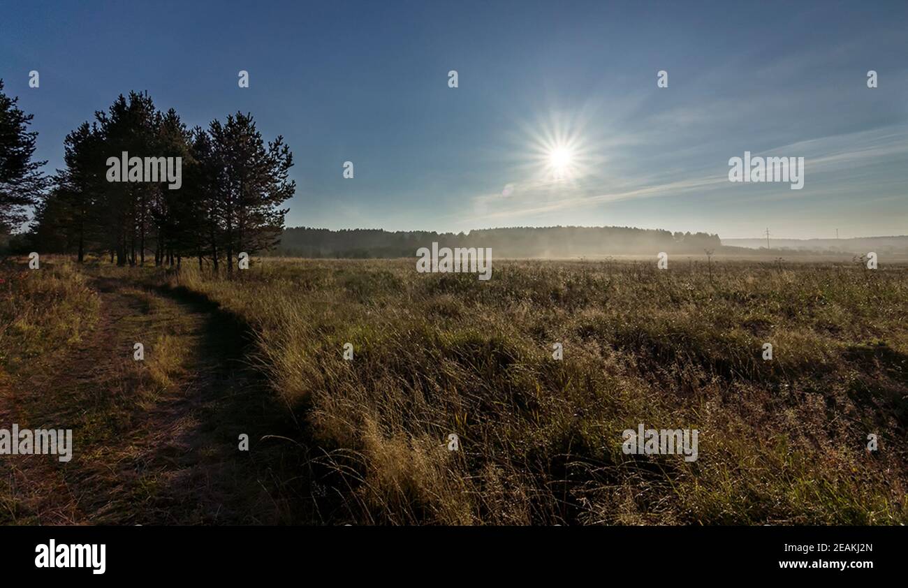 Courtyard dry landscape garden hi-res stock photography and images - Alamy