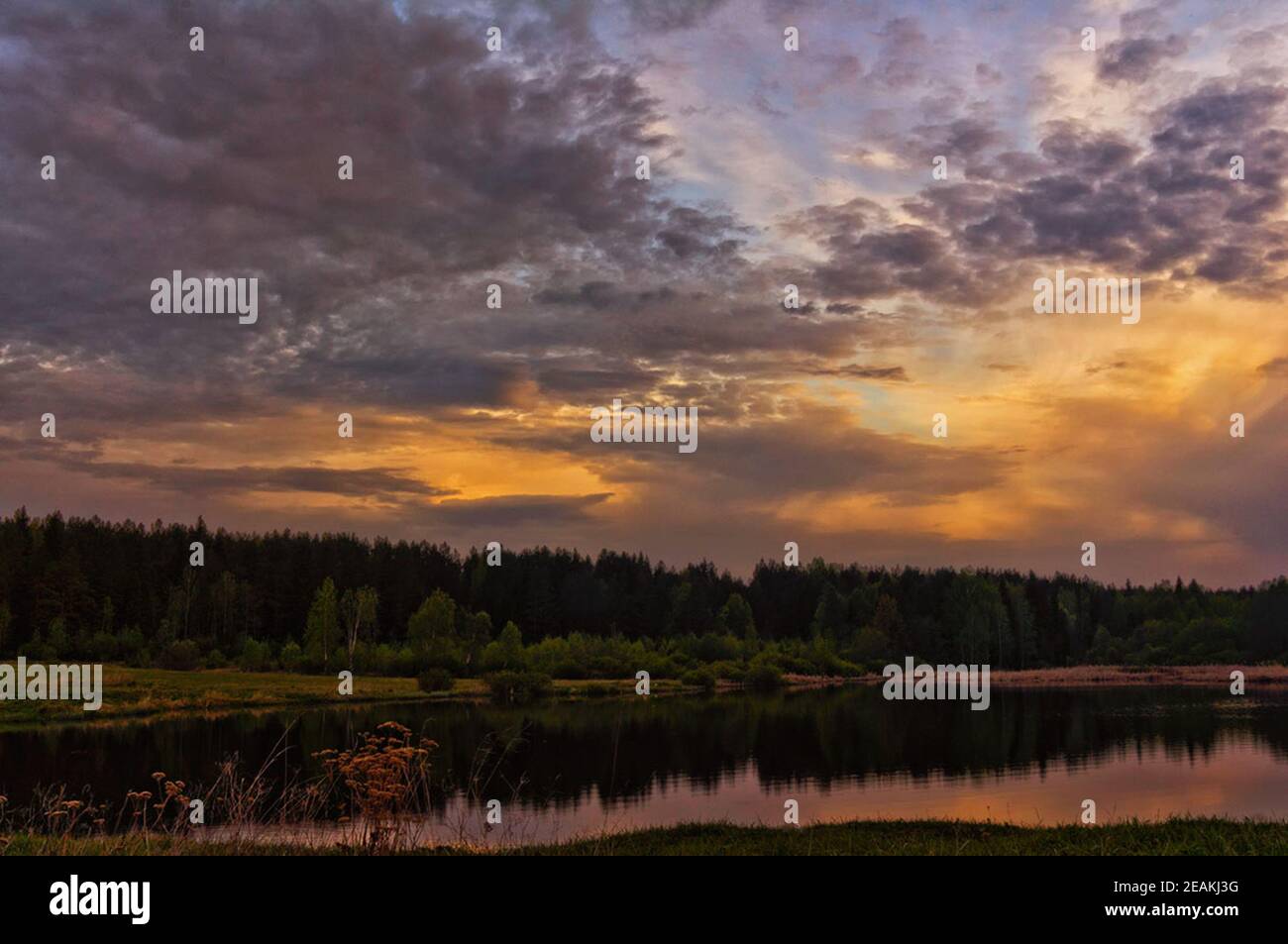 Lake at sunset, coastal grass and trees. light of the sunset above the ...