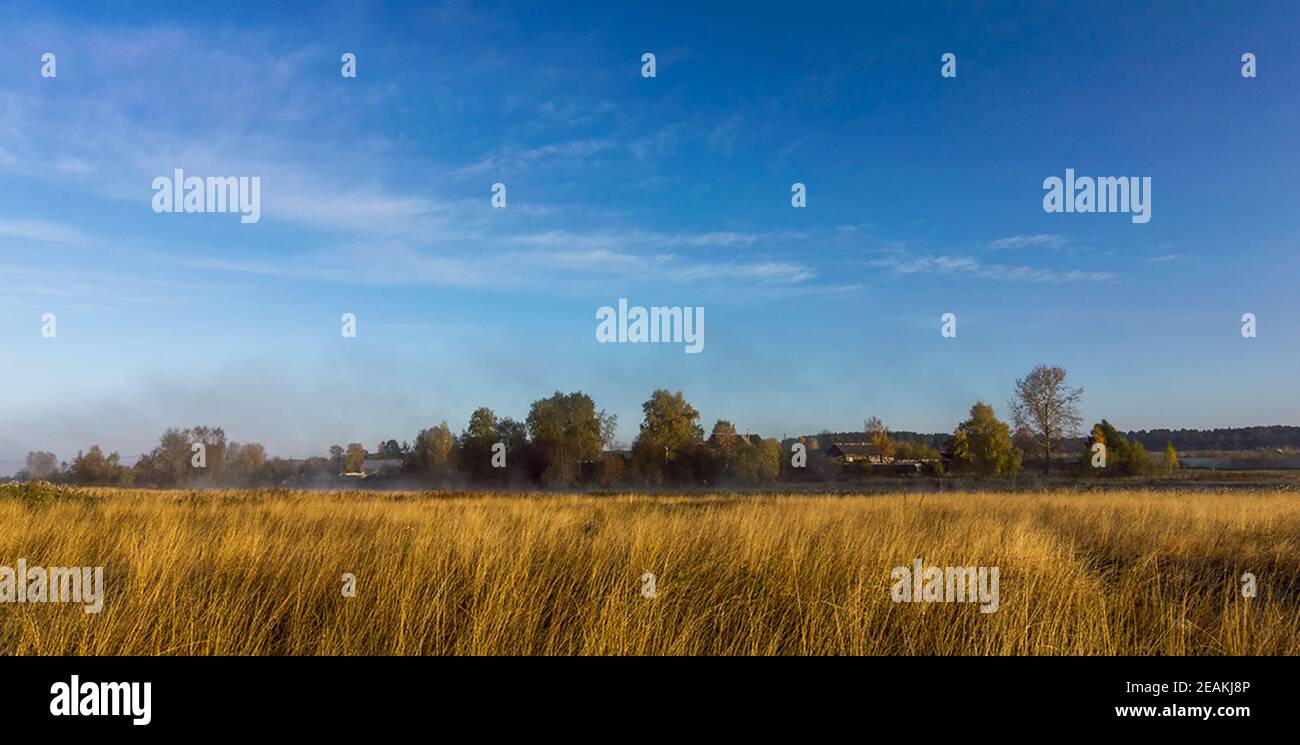 Nature landscape is forest and grass. Beautiful Stock Photo - Alamy