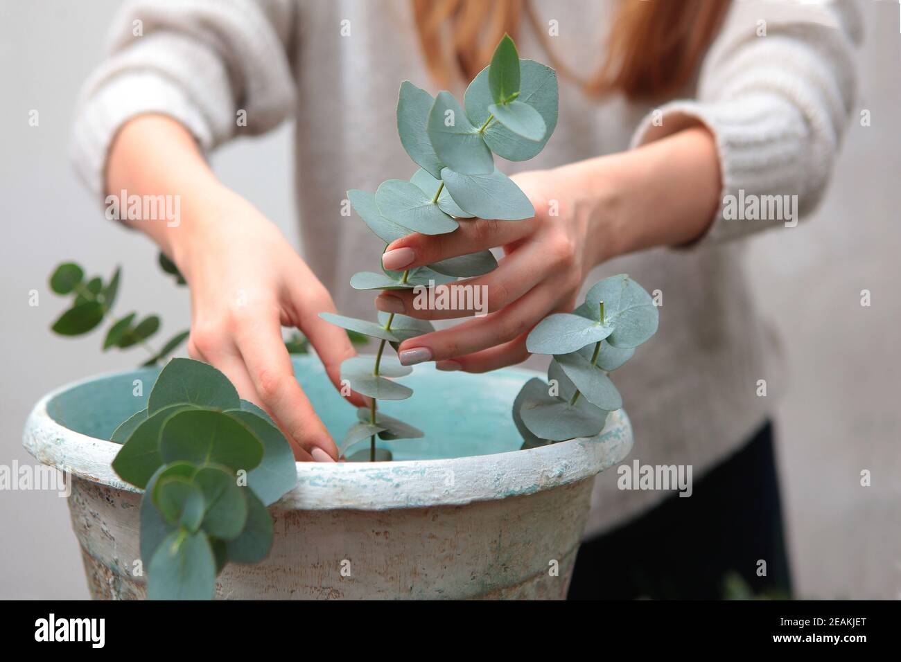 Hands only no faces hi-res stock photography and images - Alamy