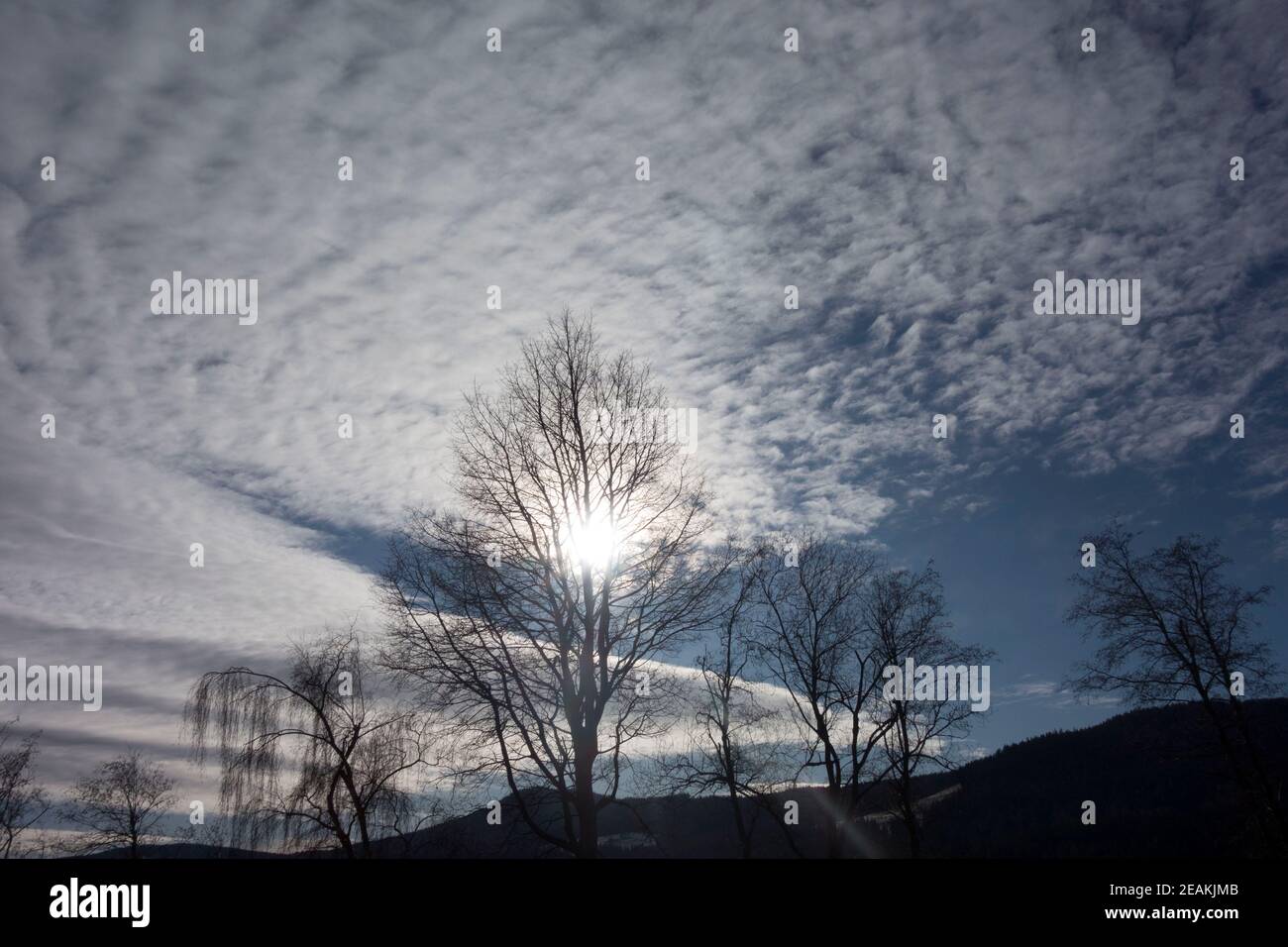 Force in nature hi-res stock photography and images - Alamy