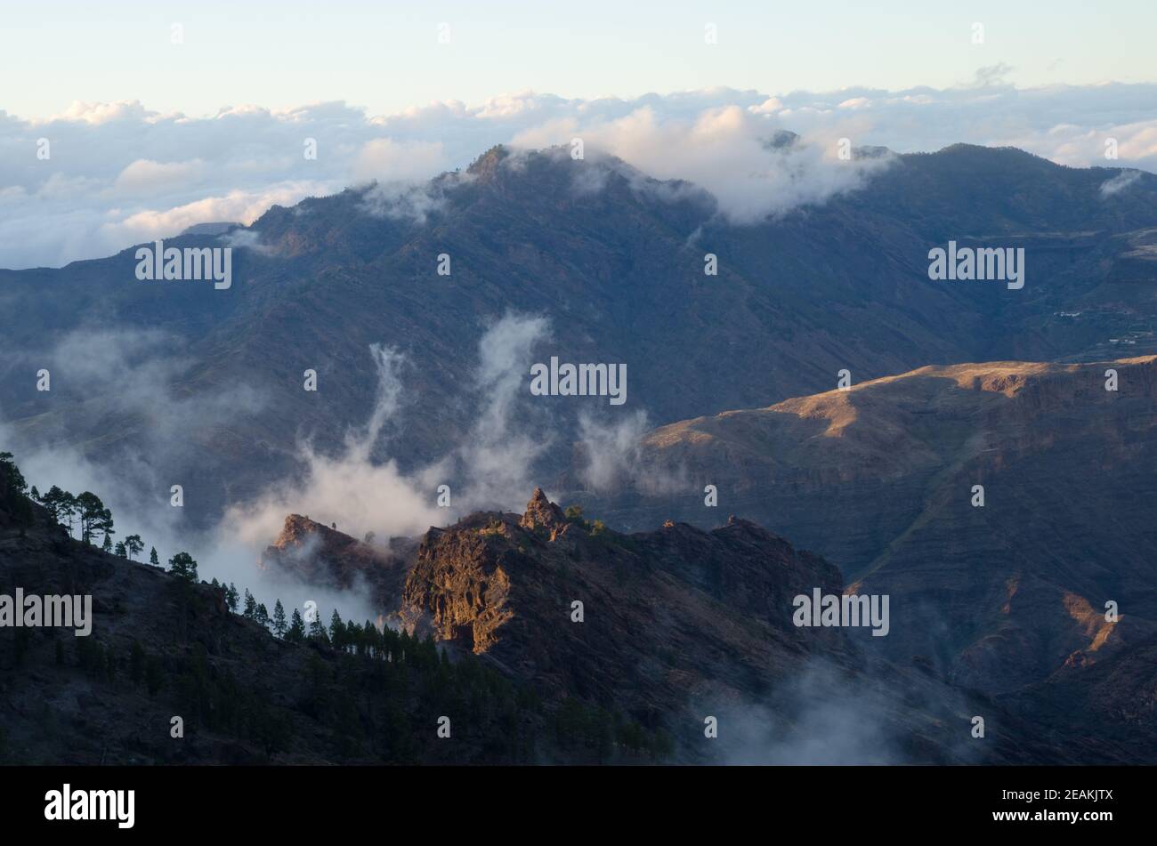 Integral Natural Reserve of Inagua and Tamadaba Natural Park in the ...