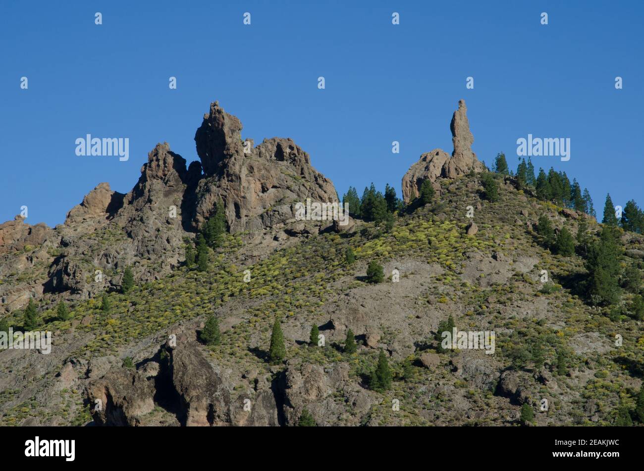 Rock El Fraile in The Nublo Rural Park Stock Photo - Alamy