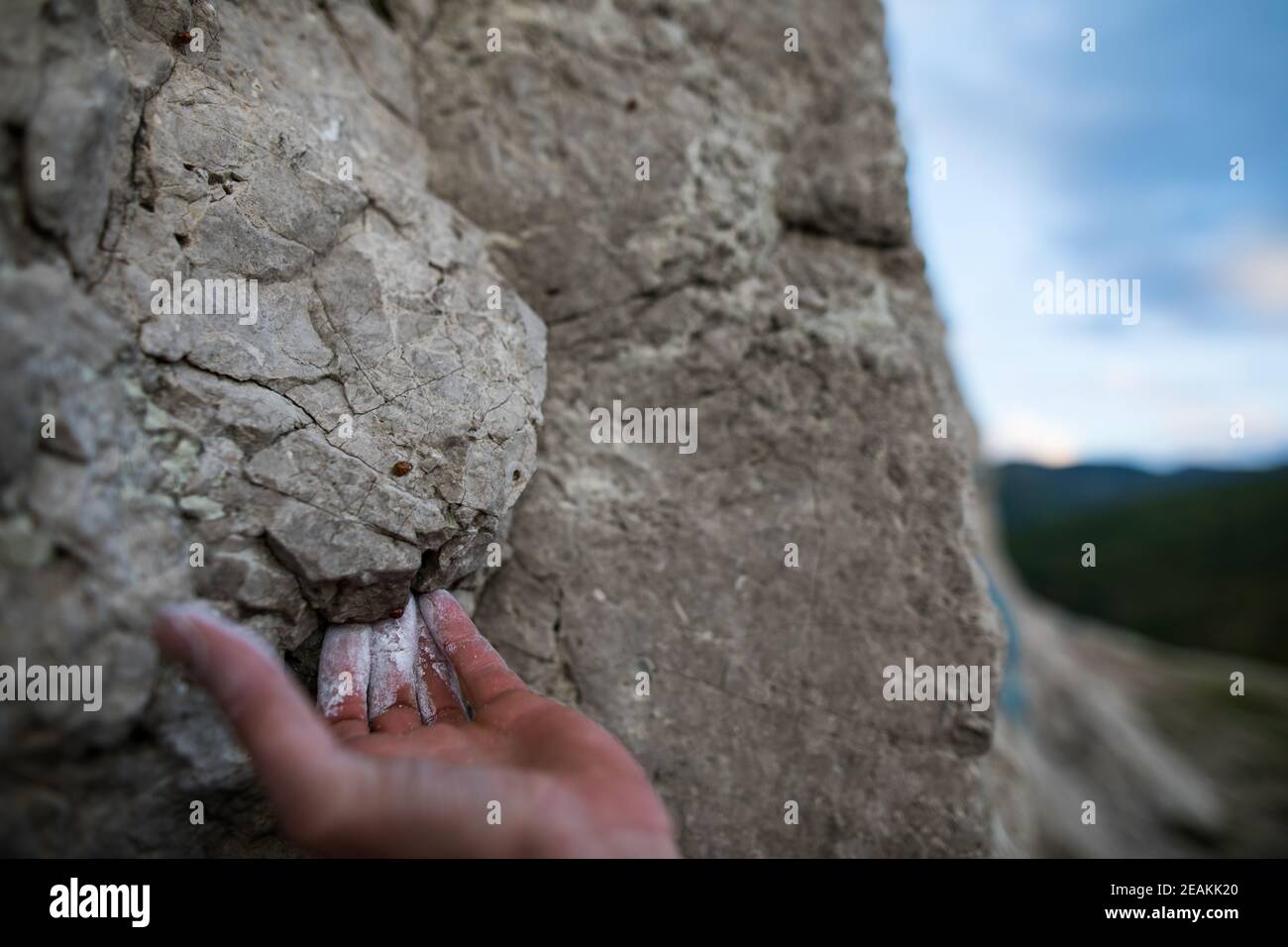 Adult male handholding on to a rock Stock Photo - Alamy