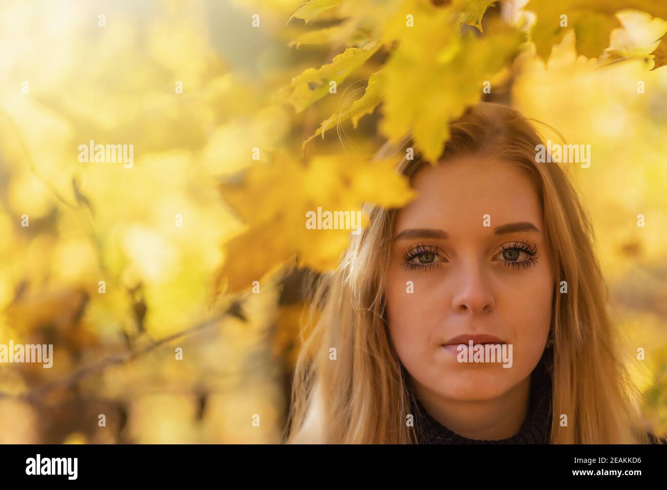 Female closeup portrait outdoors hi-res stock photography and images ...