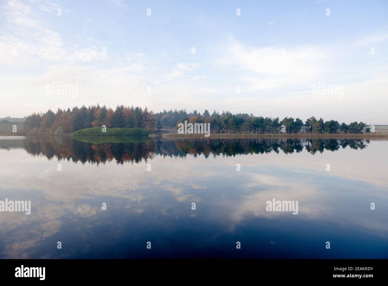 Wide angle autumn season forest reflected in calm reservoir water Stock ...
