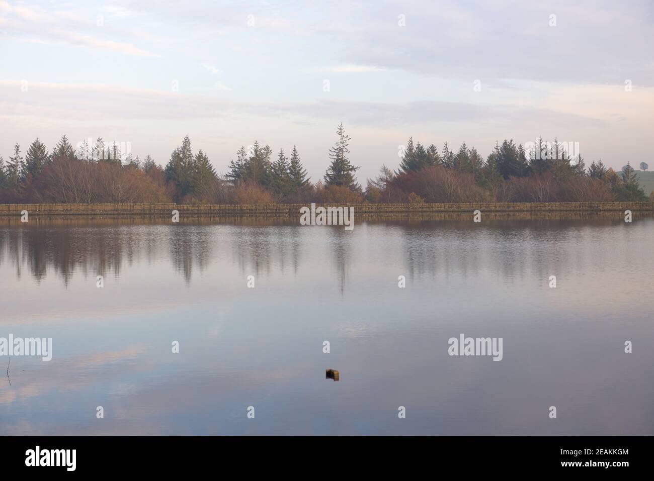 Metal post sticks out from still lake water, with forest reflection ...