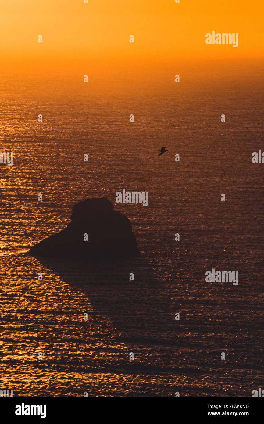 Flying over sea during sunrise hi-res stock photography and images - Alamy