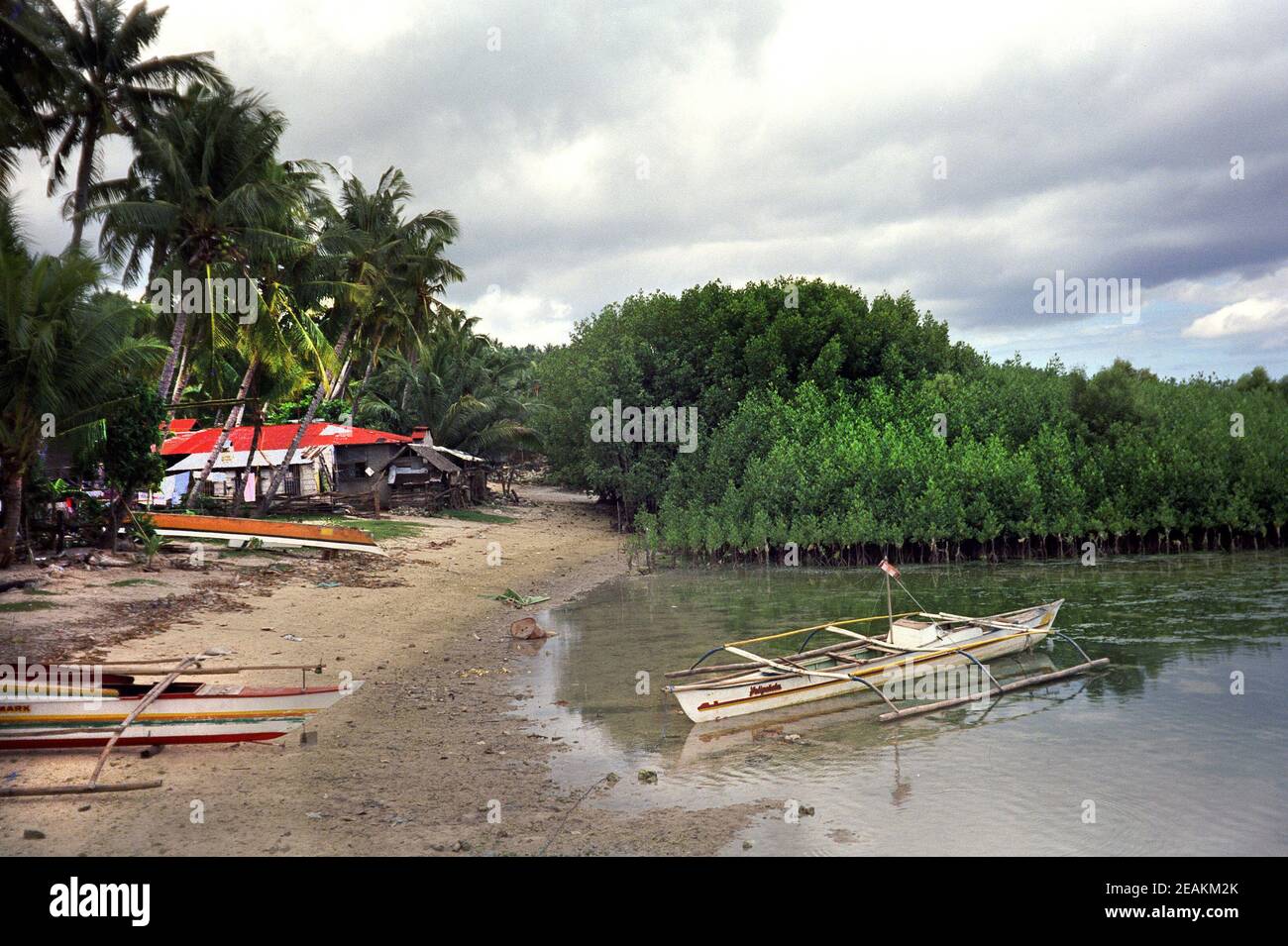 beach in Loon on Bohol Stock Photo - Alamy