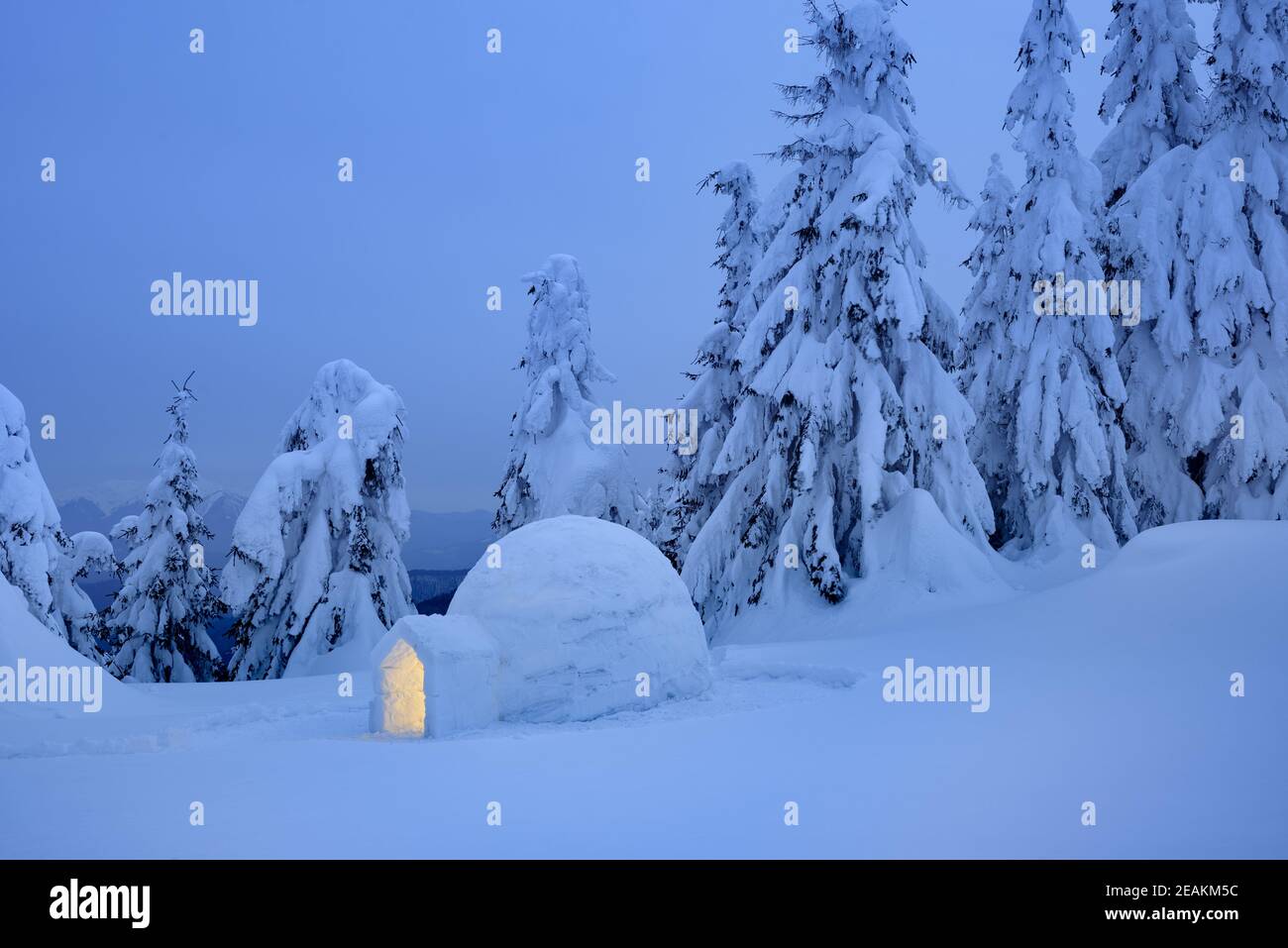 Winter landscape with snow igloo Eskimo in the mountain fir forest ...