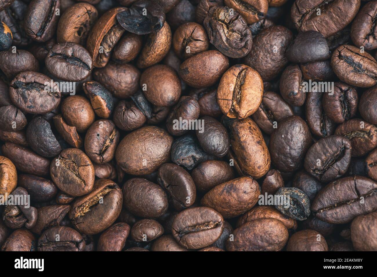 With many beans hi-res stock photography and images - Alamy