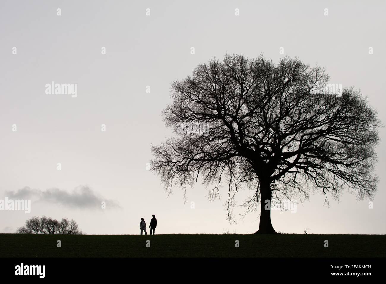 Two people and a tree in silhouette at dusk Stock Photo - Alamy