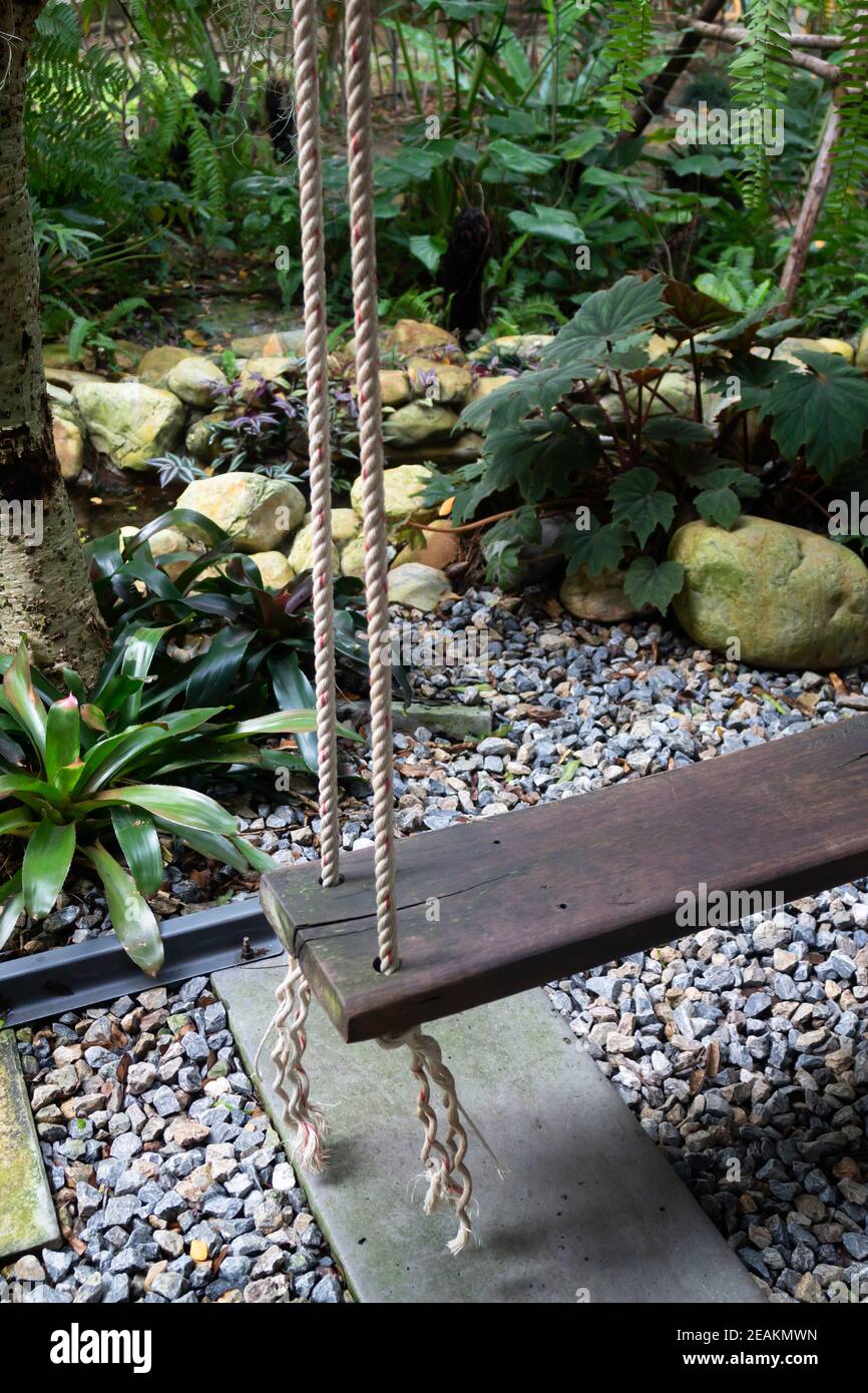 Green leaf plant conservatory hi-res stock photography and images - Alamy